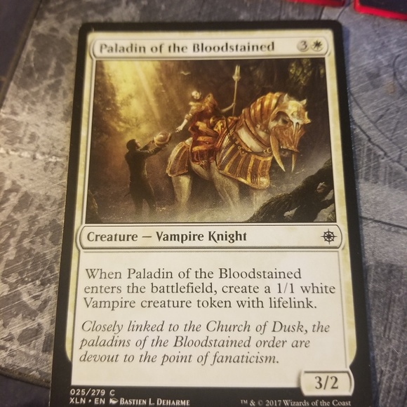 Magic | Other | Paladin Of The Bloodstained Magic Card | Poshmark